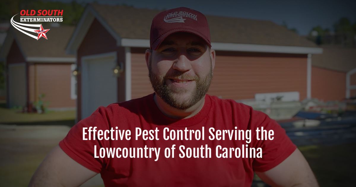 Fly Control in Beaufort | Old South Exterminators