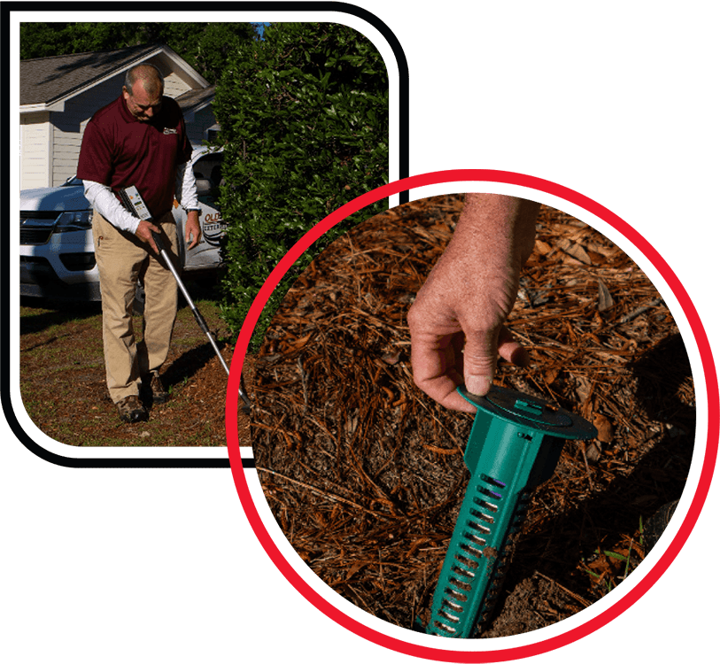 Beaufort Pest Control | Old South Exterminators