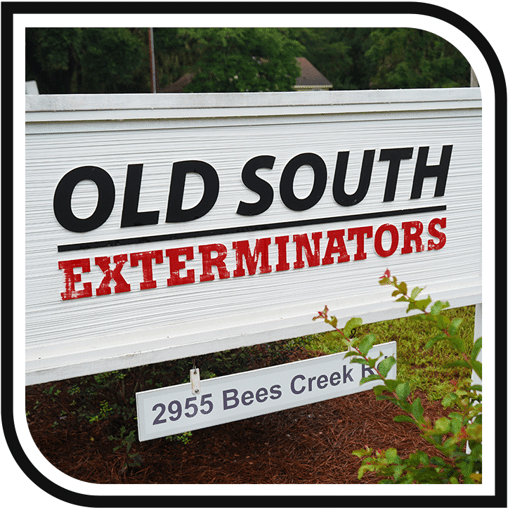 Beaufort Pest Control | Old South Exterminators