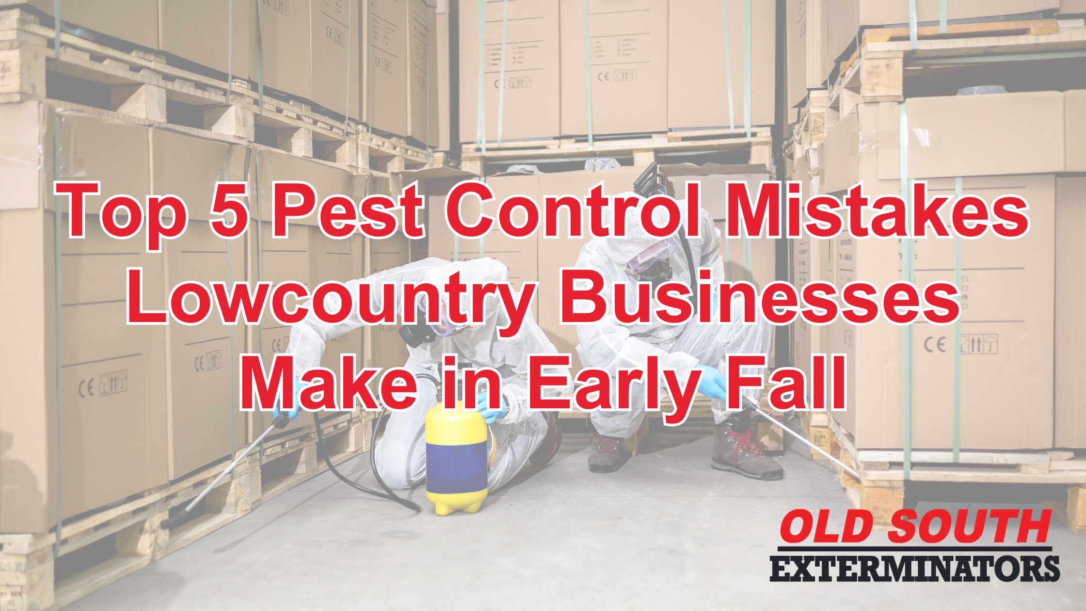 Top 5 Pest Control Mistakes Lowcountry Businesses Make in Early Fall