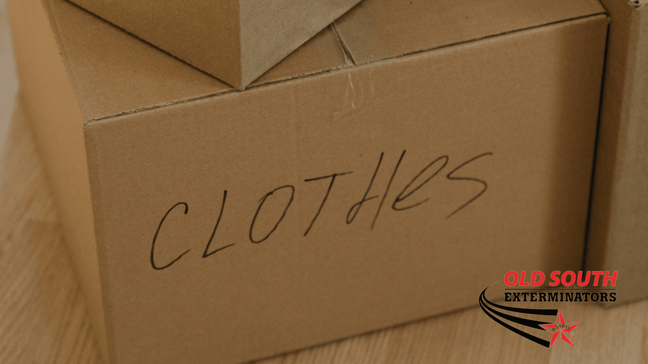 Keeping Roaches at Bay in the Lowcountry: The Cardboard Conundrum