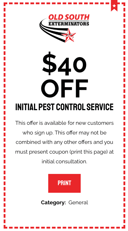 Special Offers | Pest Control in Beaufort